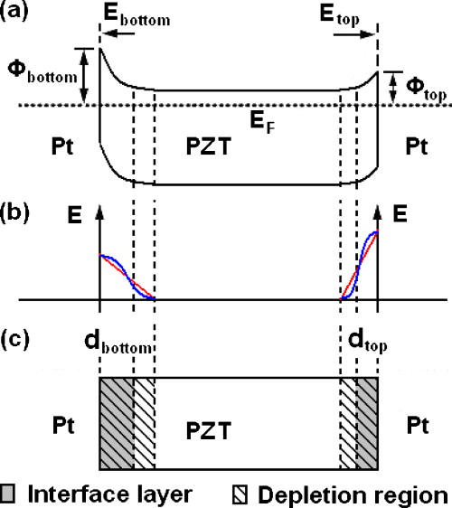 Interface layer thickness effect on the photocurrent of Pt sandwiched polycrystalline ...