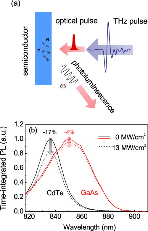 Photoluminescence quenching dynamics in cadmium telluride and gallium ...