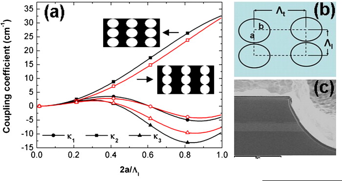 Broad area photonic crystal distributed feedback quantum cascade lasers ...