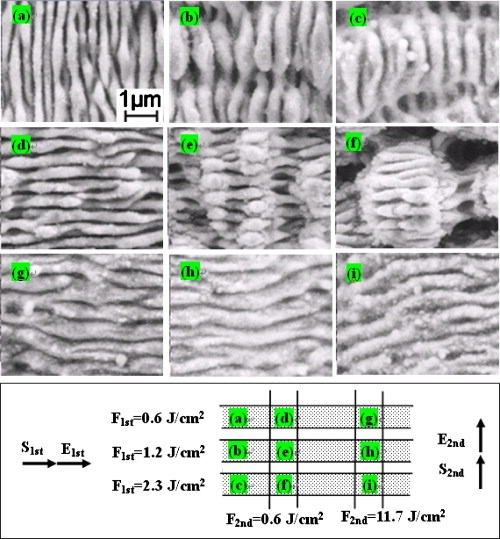 Surface patterning on periodicity of femtosecond laser-induced ripples ...