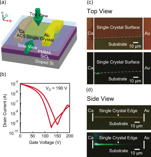 Green light emission from the edges of organic single-crystal ...