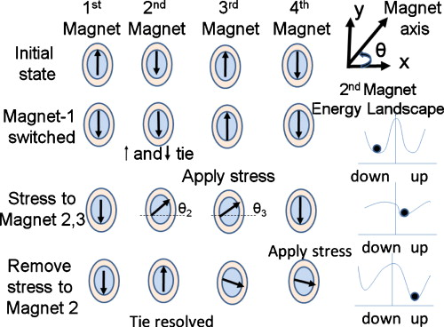 Bennett clocking of nanomagnetic logic using multiferroic single-domain ...