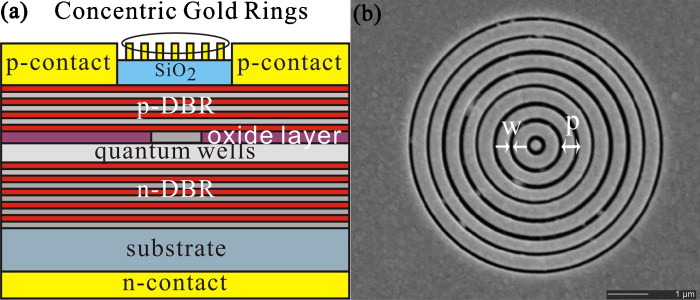 Generation of compact radially polarized beam at 850 nm in vertical ...