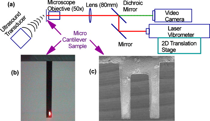 Mode-selective noncontact excitation of microcantilevers and ...