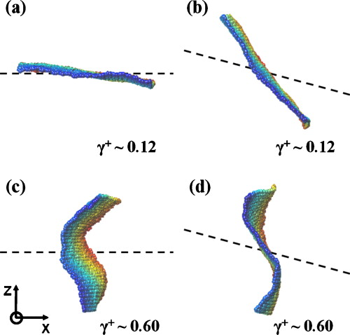 Stability of solvated nanosheet in shear flow | Applied Physics Letters ...
