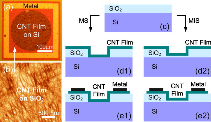 Electronic properties of metal-semiconductor and metal-oxide ...