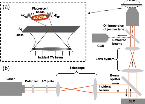 High-resolution wide-field standing-wave surface plasmon resonance ...