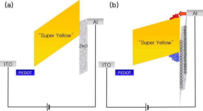 Solution processed polymer light-emitting diodes utilizing a ZnO ...