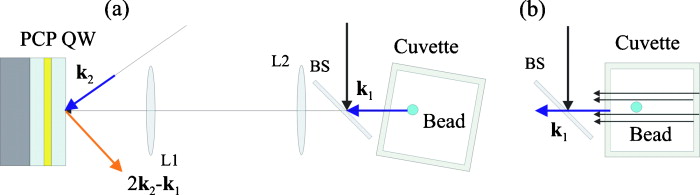 Real-time single-shot three-dimensional and contrast-enhanced optical ...