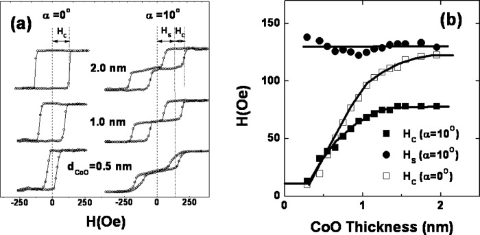 Rotatable magnetic anisotropy of CoO/Fe/Ag(001) in ultrathin regime of ...