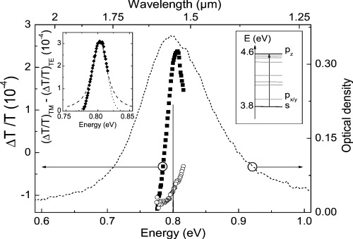 Homogeneous linewidth of the intraband transition at 1.55 μm in GaN/AlN ...
