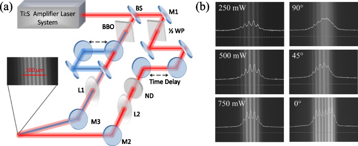 Femtosecond laser pulse energy transfer induced by plasma grating due ...