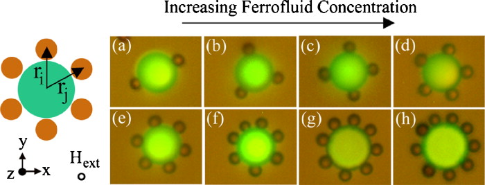Magnetically tunable self-assembly of colloidal rings | Applied Physics ...