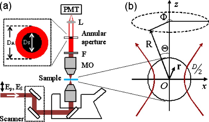 Annular aperture-detected coherent anti-Stokes Raman scattering ...