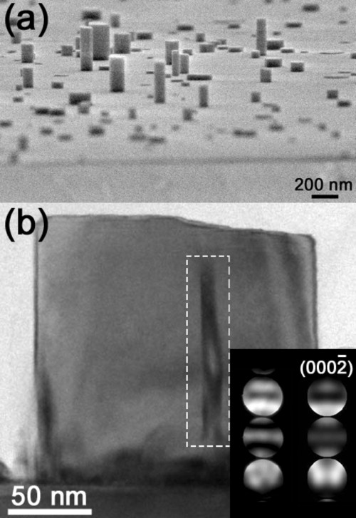 On the polarity of GaN micro- and nanowires epitaxially grown on ...