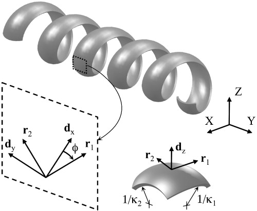 Tunable helical ribbons | Applied Physics Letters | AIP Publishing