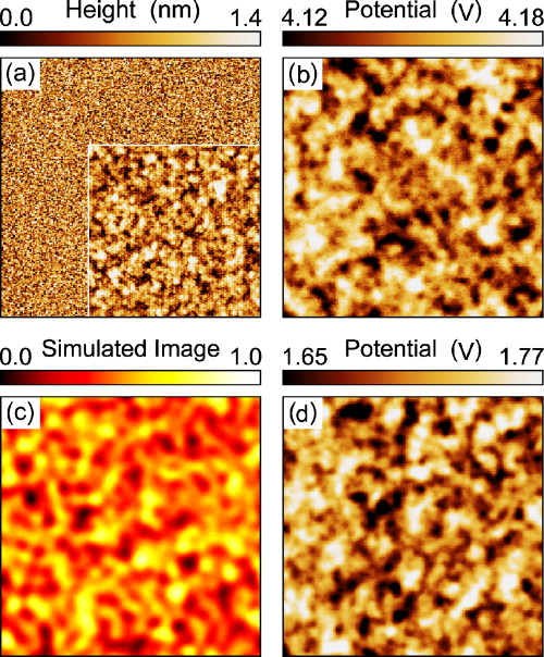 Photoinduced evolution of surface-potential undulation observed on ...