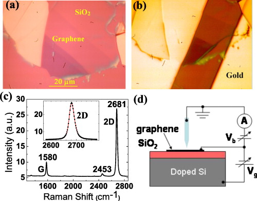 Effects of tip induced carrier density in local tunnel spectra of ...