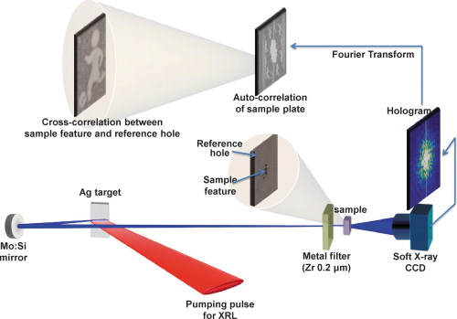 Single-shot nanometer-scale holographic imaging with laser-driven x-ray ...