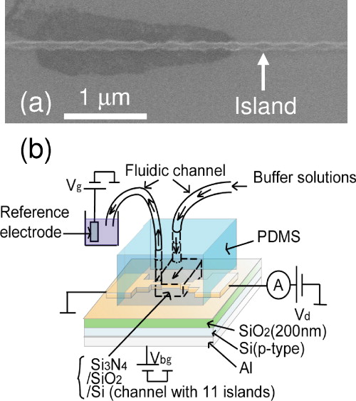 Highly sensitive ion detection using Si single-electron transistors ...