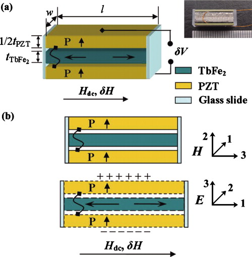Large magnetoelectric effect in mechanically mediated structure of ...