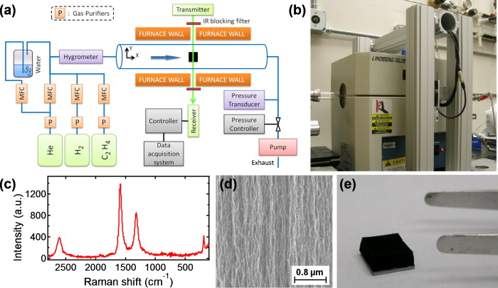 Hidden role of trace gas impurities in chemical vapor deposition growth of vertically-aligned ...