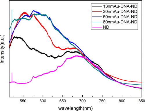 Plasmon-enhanced photoluminescence from bioconjugated gold nanoparticle and nanodiamond assembly ...