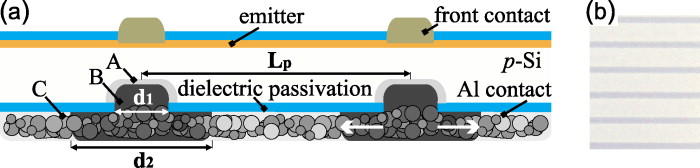 Silicon diffusion in aluminum for rear passivated solar cells | Applied ...