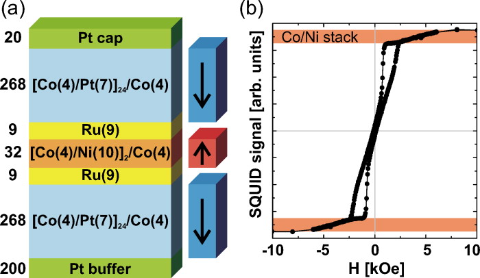 Ferrimagnetic stripe domain formation in antiferromagnetically-coupled ...