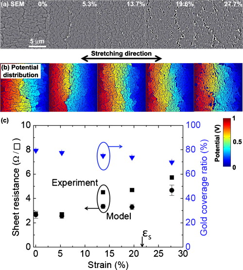 Modeling the electrical resistance of gold film conductors on ...