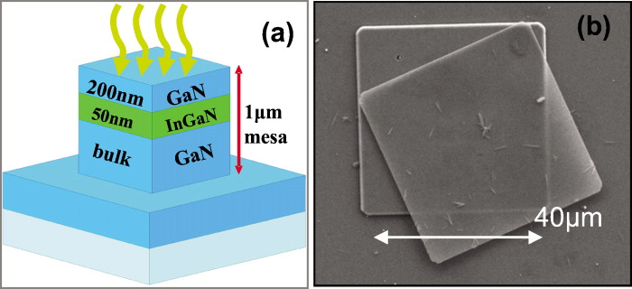 Bragg polariton luminescence from a GaN membrane embedded in all ...