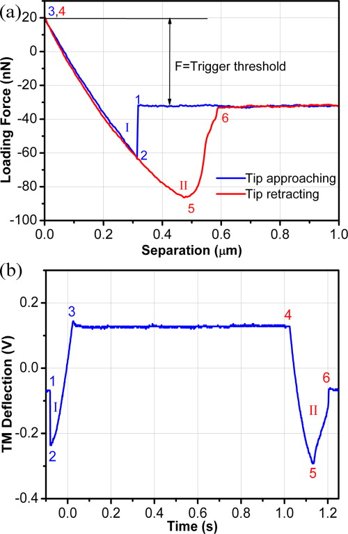 Force mode dip-pen nanolithography on soft polydimethylsiloxane surface ...