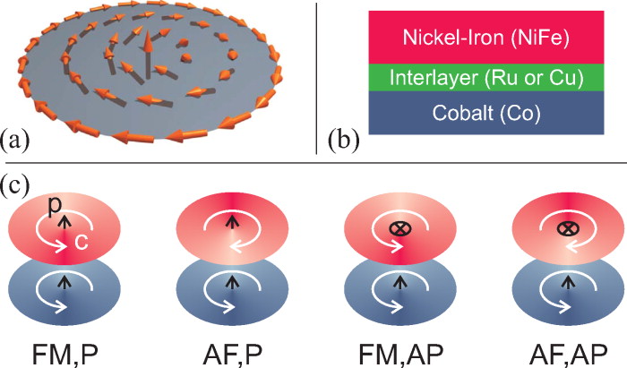 Direct observation of antiferromagnetically oriented spin vortex states ...