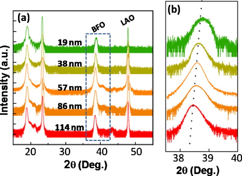 Thickness-dependent magnetism and spin-glass behaviors in compressively ...