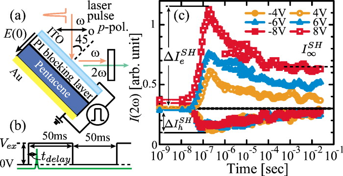 Transport limited interfacial carrier relaxation in a double-layer ...