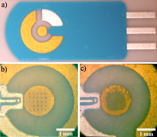 Direct laser immobilization of photosynthetic material on screen ...