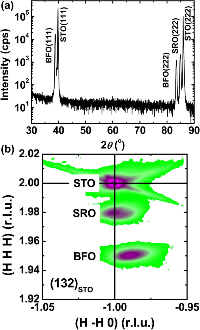 Polarity-dependent kinetics of ferroelectric switching in epitaxial ...