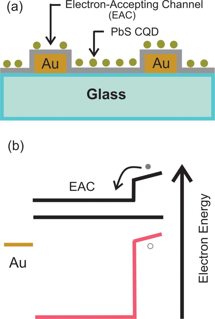 A tunable colloidal quantum dot photo field-effect transistor | Applied ...