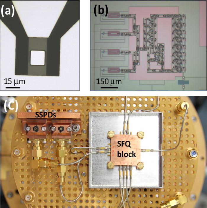 Superconducting single photon detectors integrated with single flux quantum readout circuits in ...