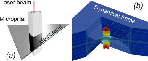A micropillar for cavity optomechanics | Applied Physics Letters | AIP ...