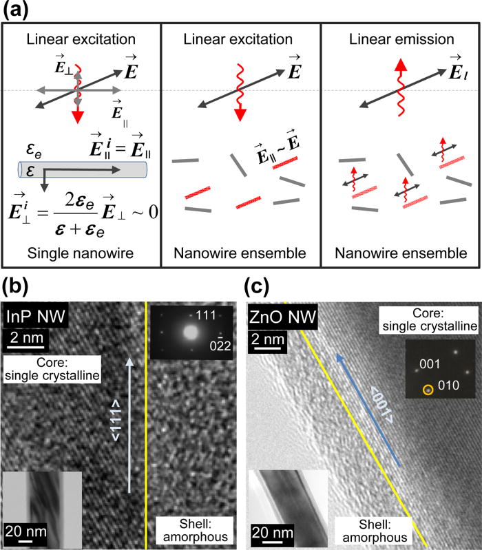 Comprehensive control of optical polarization anisotropy in semiconducting nanowires | Applied ...