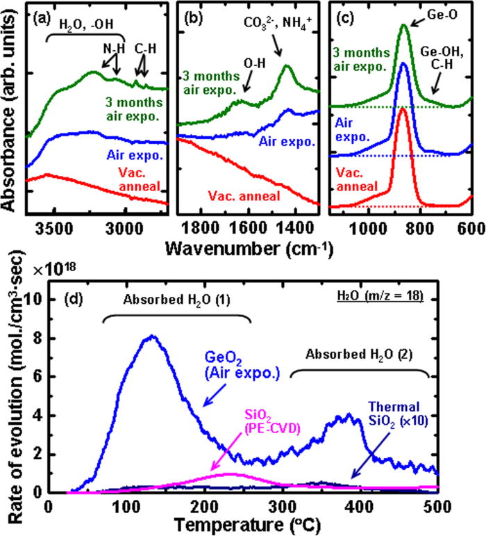 Insight into unusual impurity absorbability of GeO2 in GeO2/Ge stacks ...
