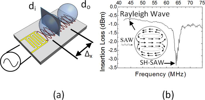Shear horizontal surface acoustic wave induced microfluidic flow ...
