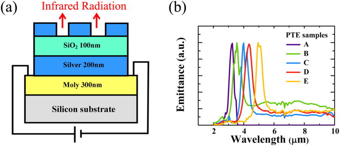 The effect of narrow bandwidth infrared radiation on the growth of ...