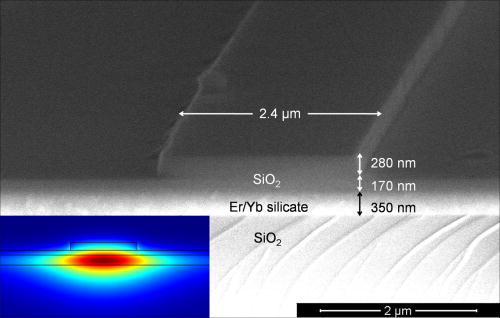 Optical amplification in Er/Yb silicate strip loaded waveguide ...
