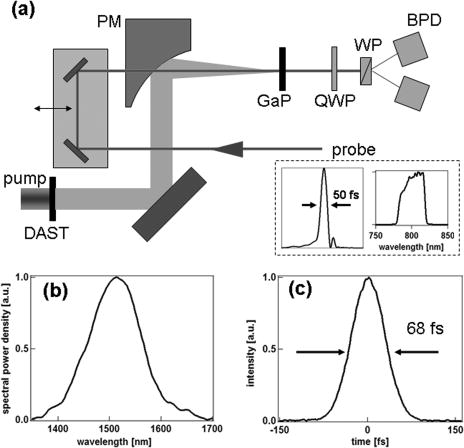 Strong-field single-cycle THz pulses generated in an organic crystal ...