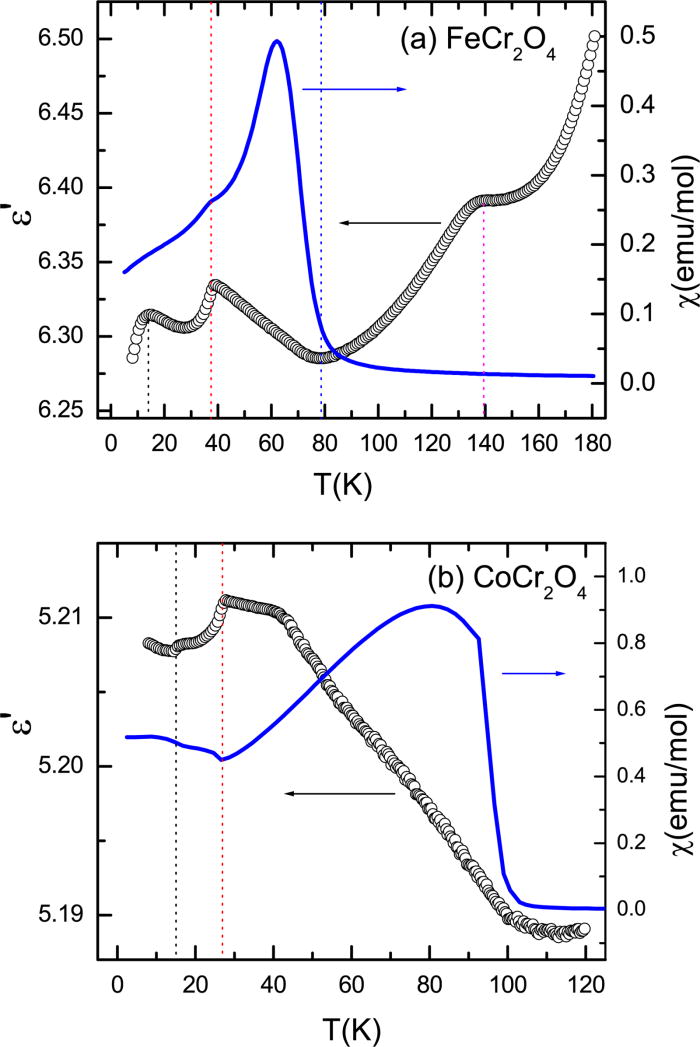 FeCr2O4 and CoCr2O4 spinels: Multiferroicity in the collinear magnetic ...