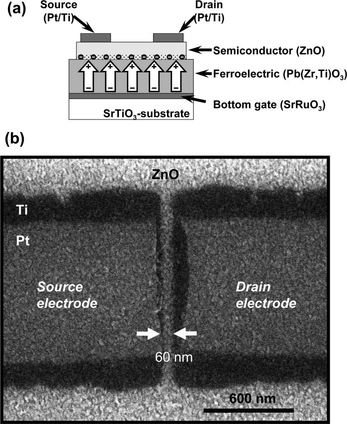 A 60 nm channel length ferroelectric-gate field-effect transistor ...