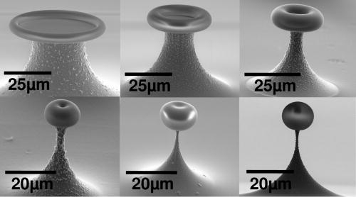 High-Q silica microcavities on a chip: From microtoroid to microsphere ...