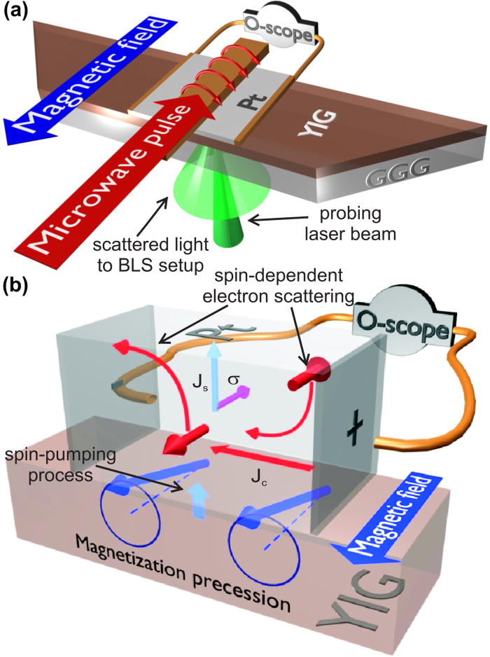 Temporal evolution of inverse spin Hall effect voltage in a magnetic ...